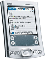 Palm Tungsten E2 Accessories | BoxWave